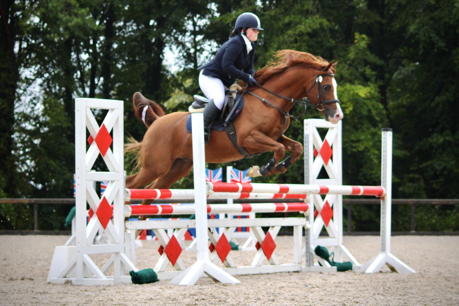 The Girl with the Jumping Arabs – A Competitor - The Arabian Magazine