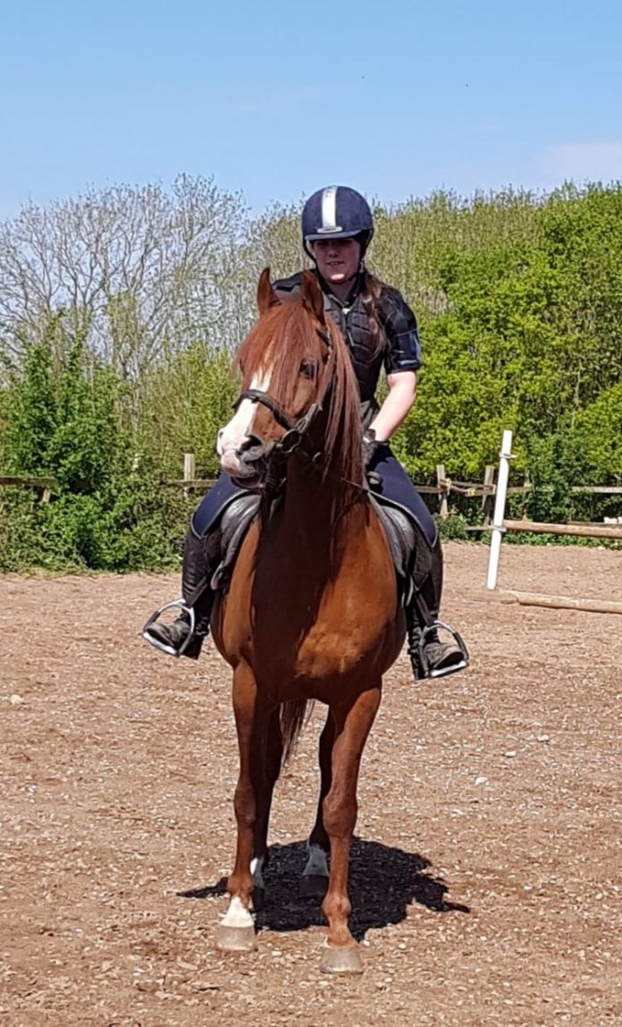 The Girl with the Jumping Arabs - Back on the Horse - The Arabian Magazine