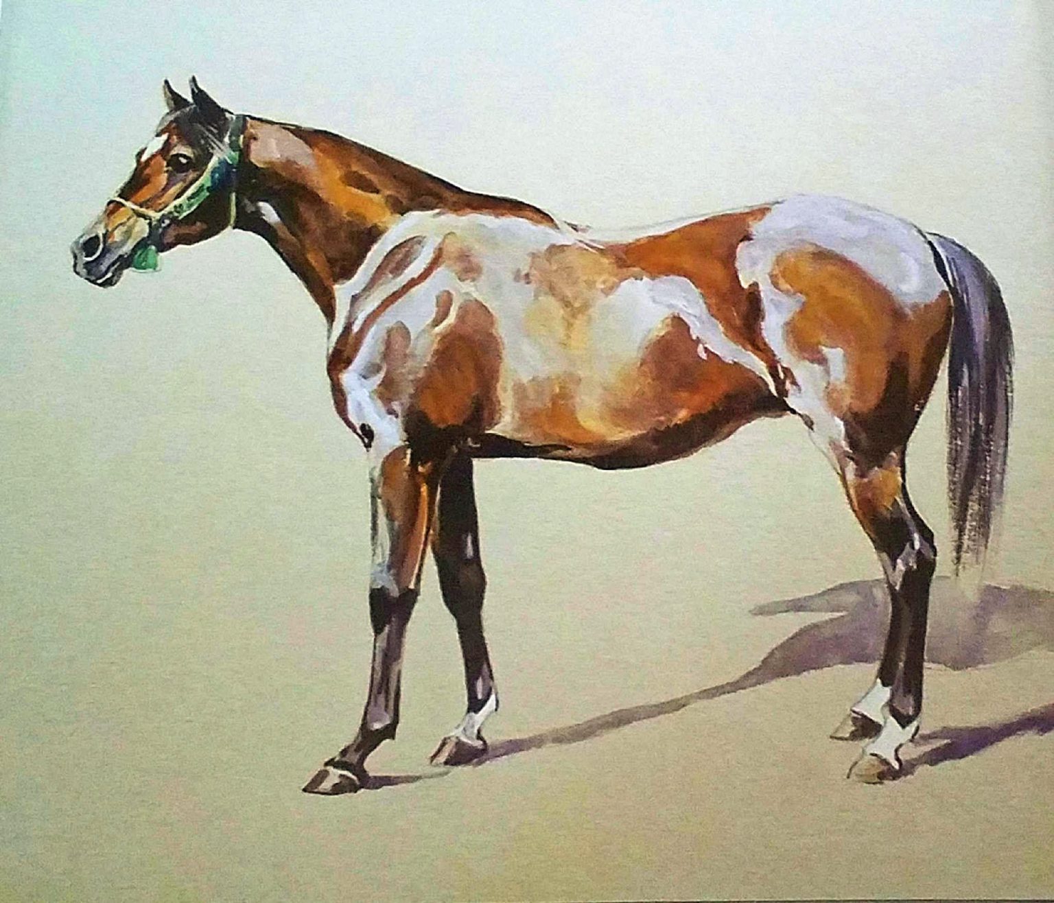 Bloodlines tell, and they do - The Arabian Magazine