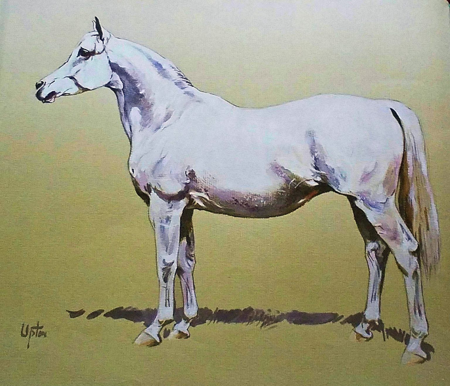 Bloodlines tell, and they do - The Arabian Magazine