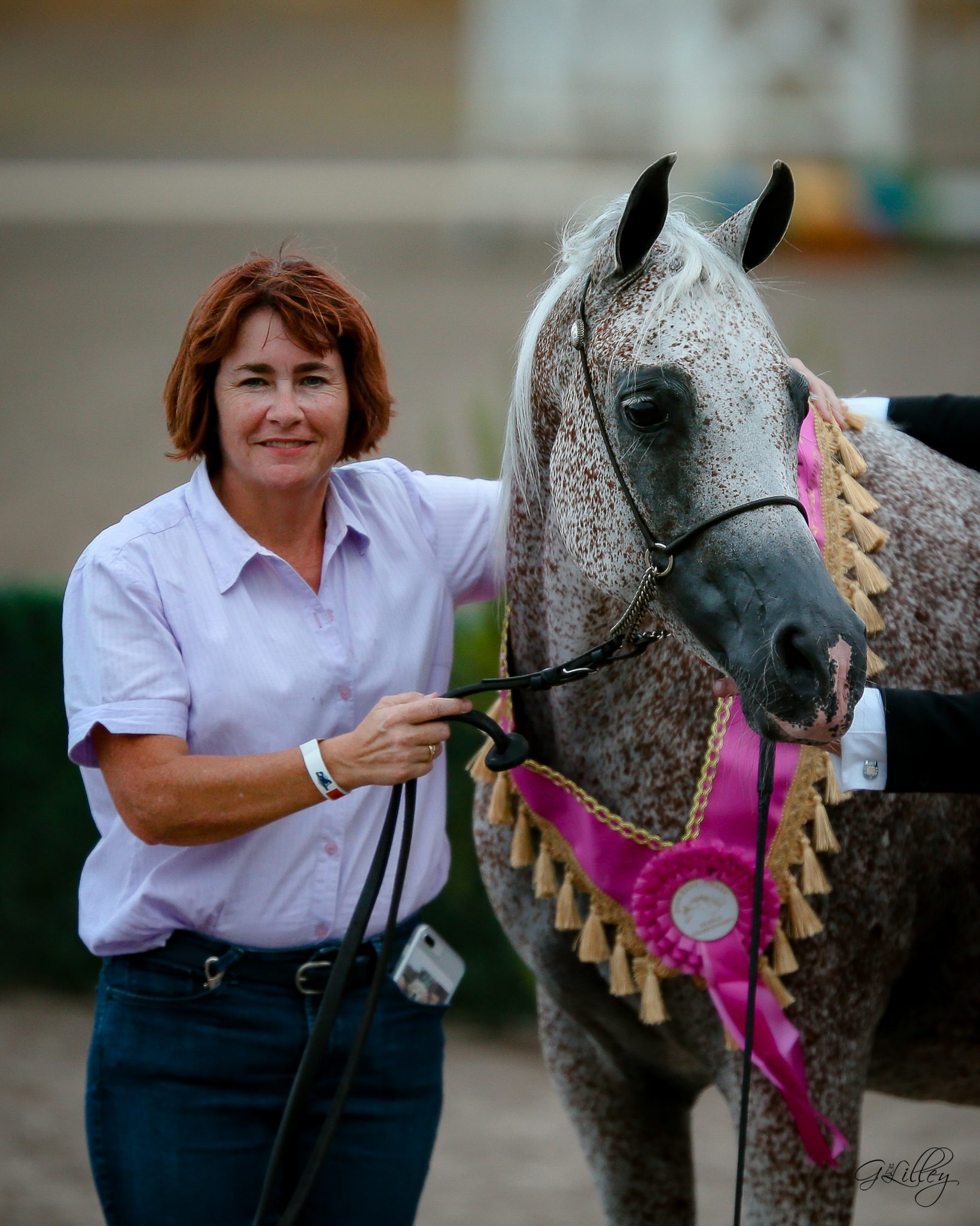 East Coast Arabian Championships 2018 - The Arabian Magazine