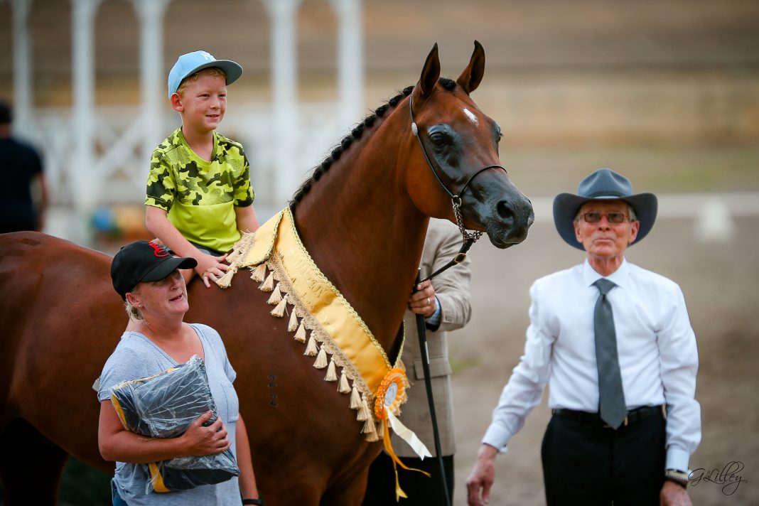East Coast Arabian Championships 2018 - The Arabian Magazine