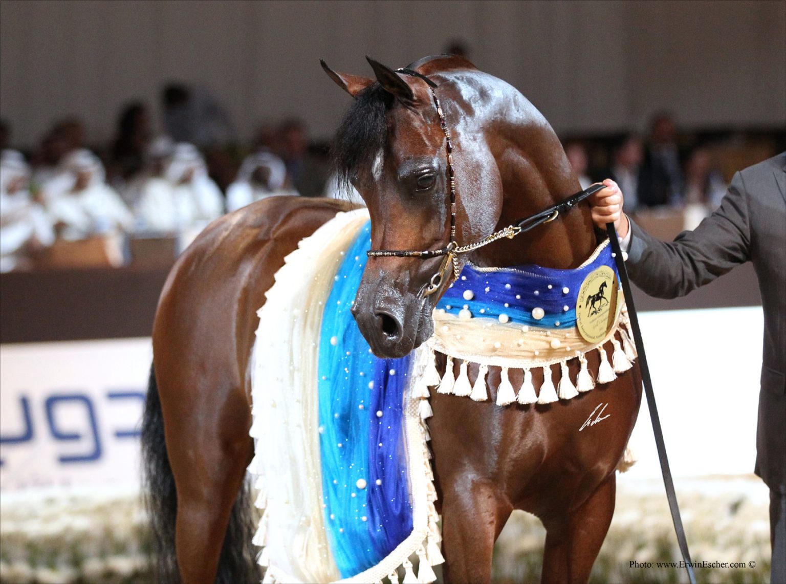 Setting the World Alight: QR Marc - The Arabian Magazine