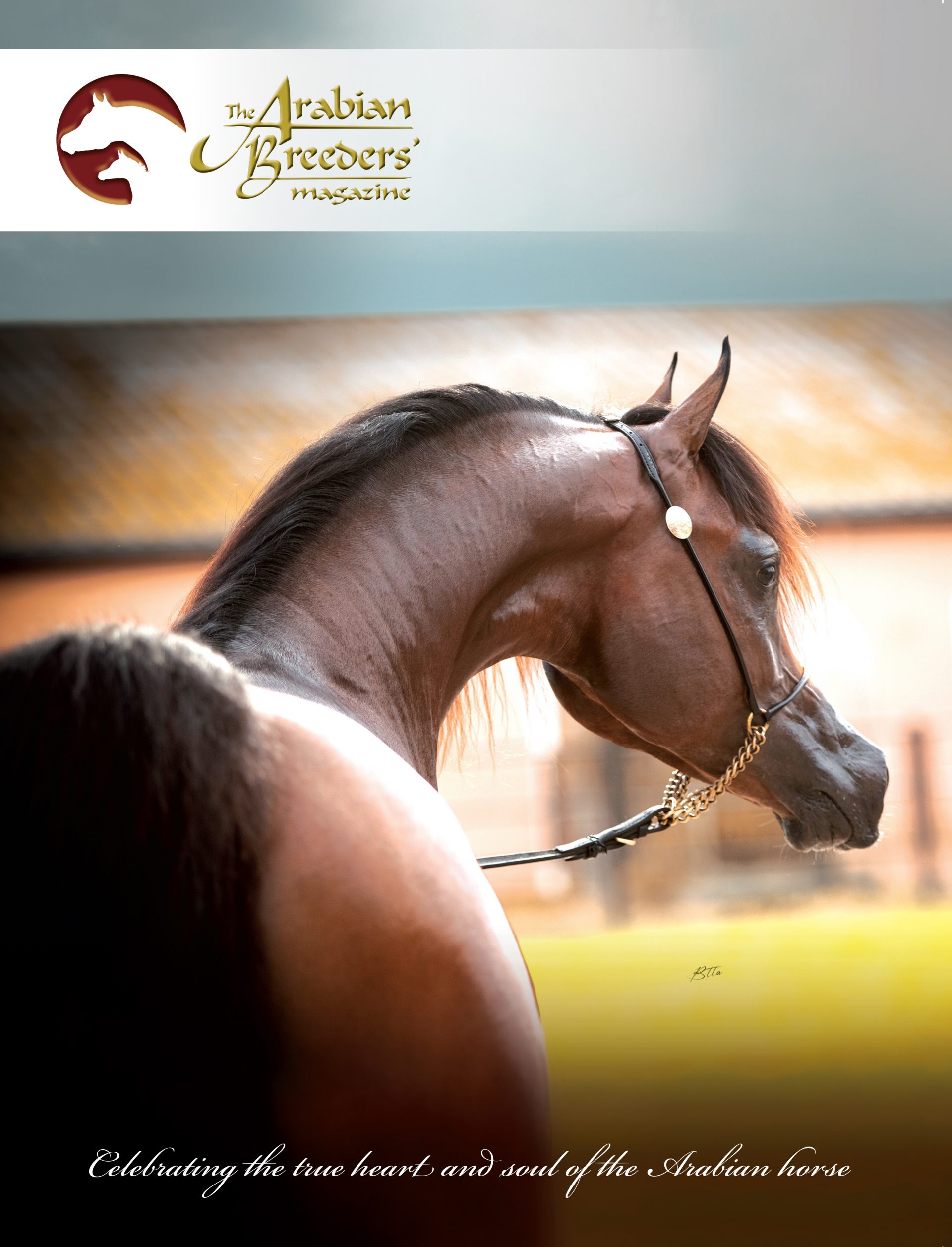 Editorial - The Arabian Breeders' Magazine Volume V Issue II - The ...