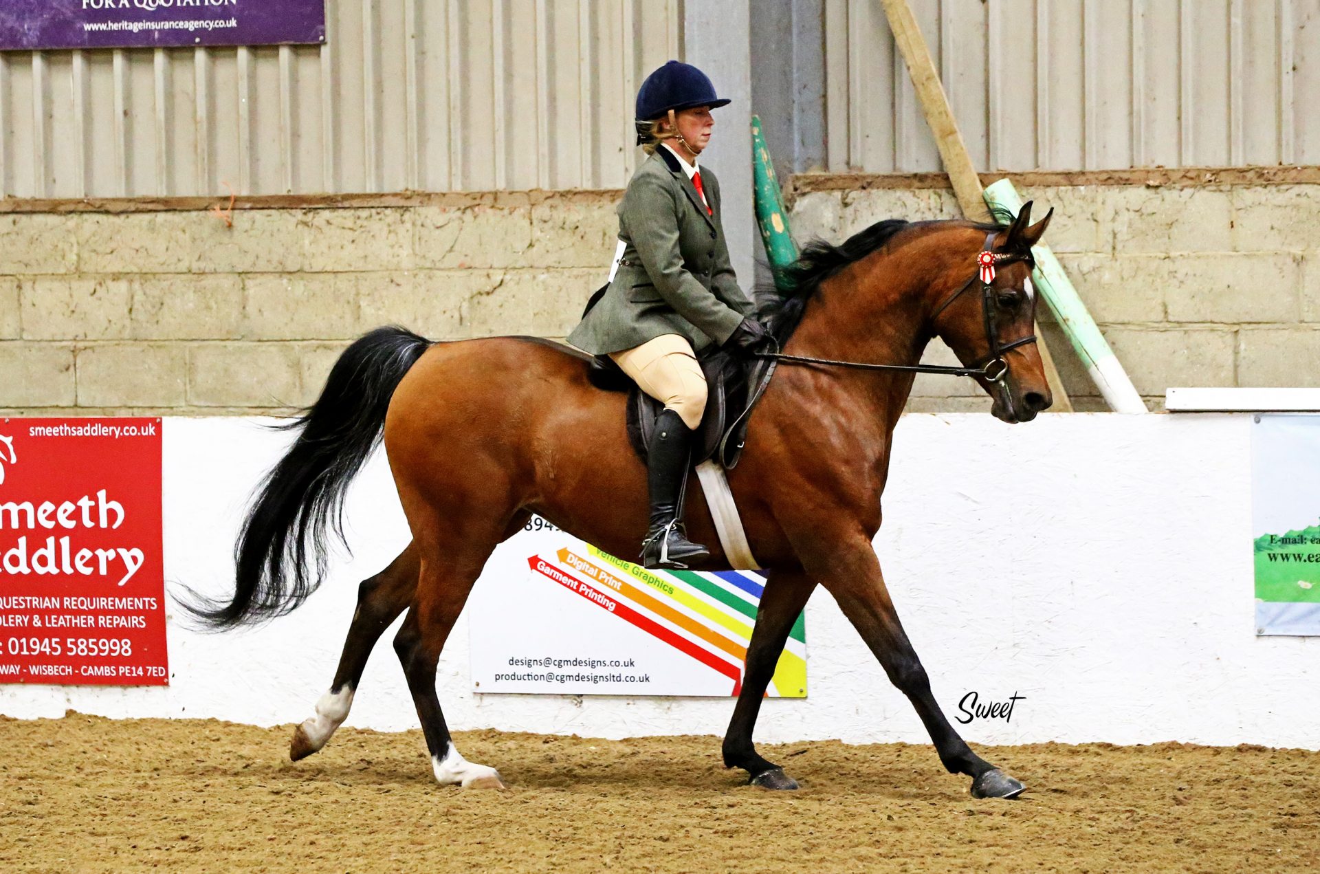 The 2021 HoCoN Arabian Horse Show - The Arabian Magazine