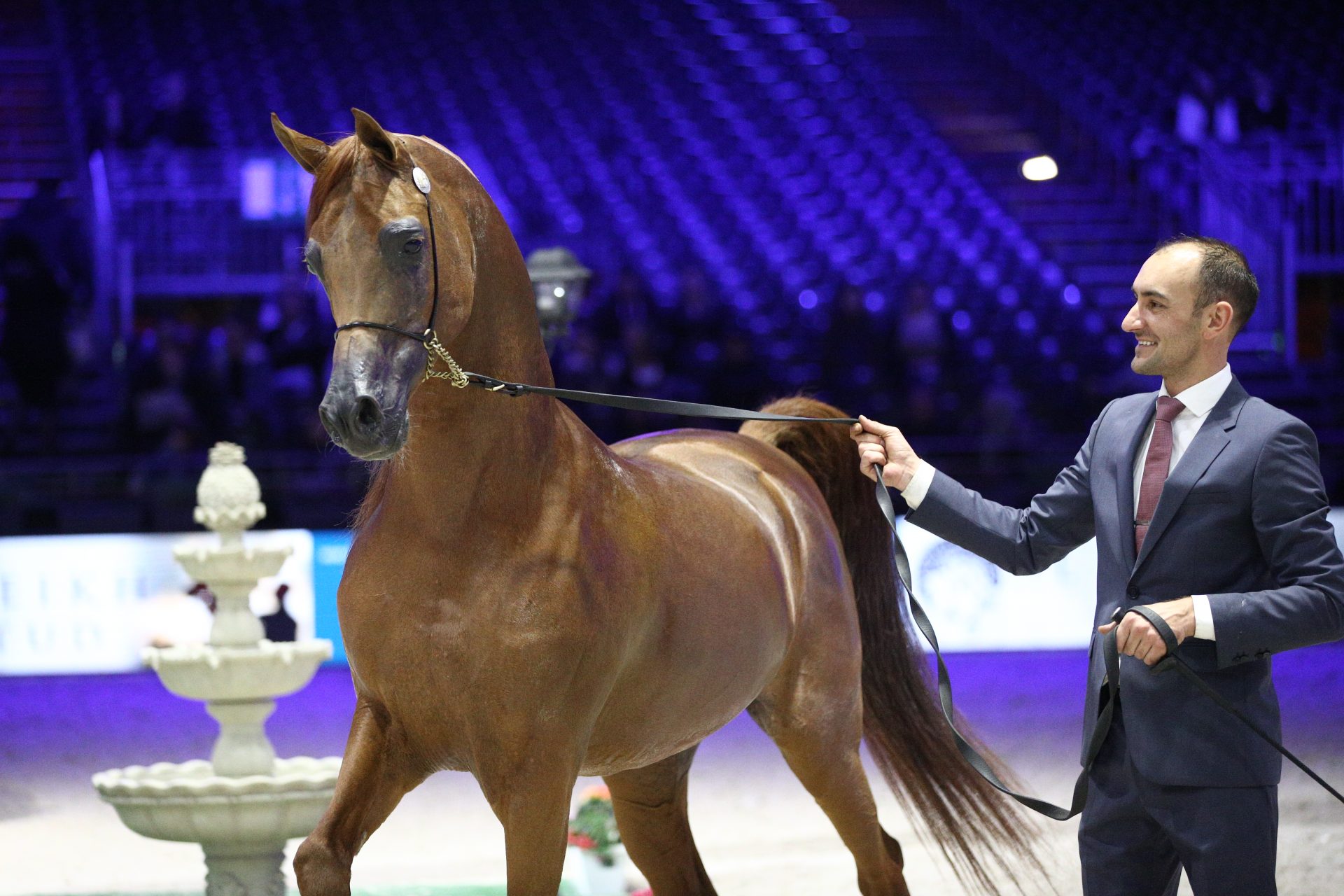 RHR Heir of Marwan - The Ultimate - The Arabian Magazine