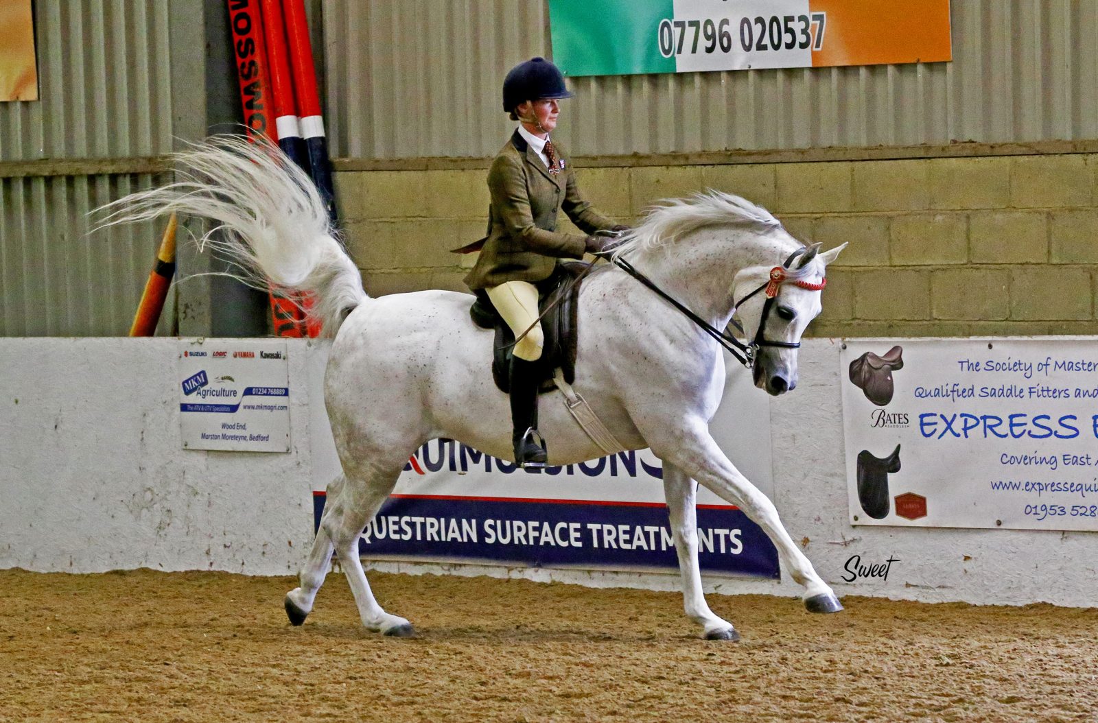 The 2021 HoCoN Arabian Horse Show - The Arabian Magazine