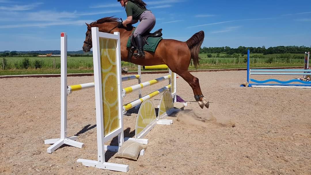 The Girl with the Jumping Arabs – Back on Top - The Arabian Magazine