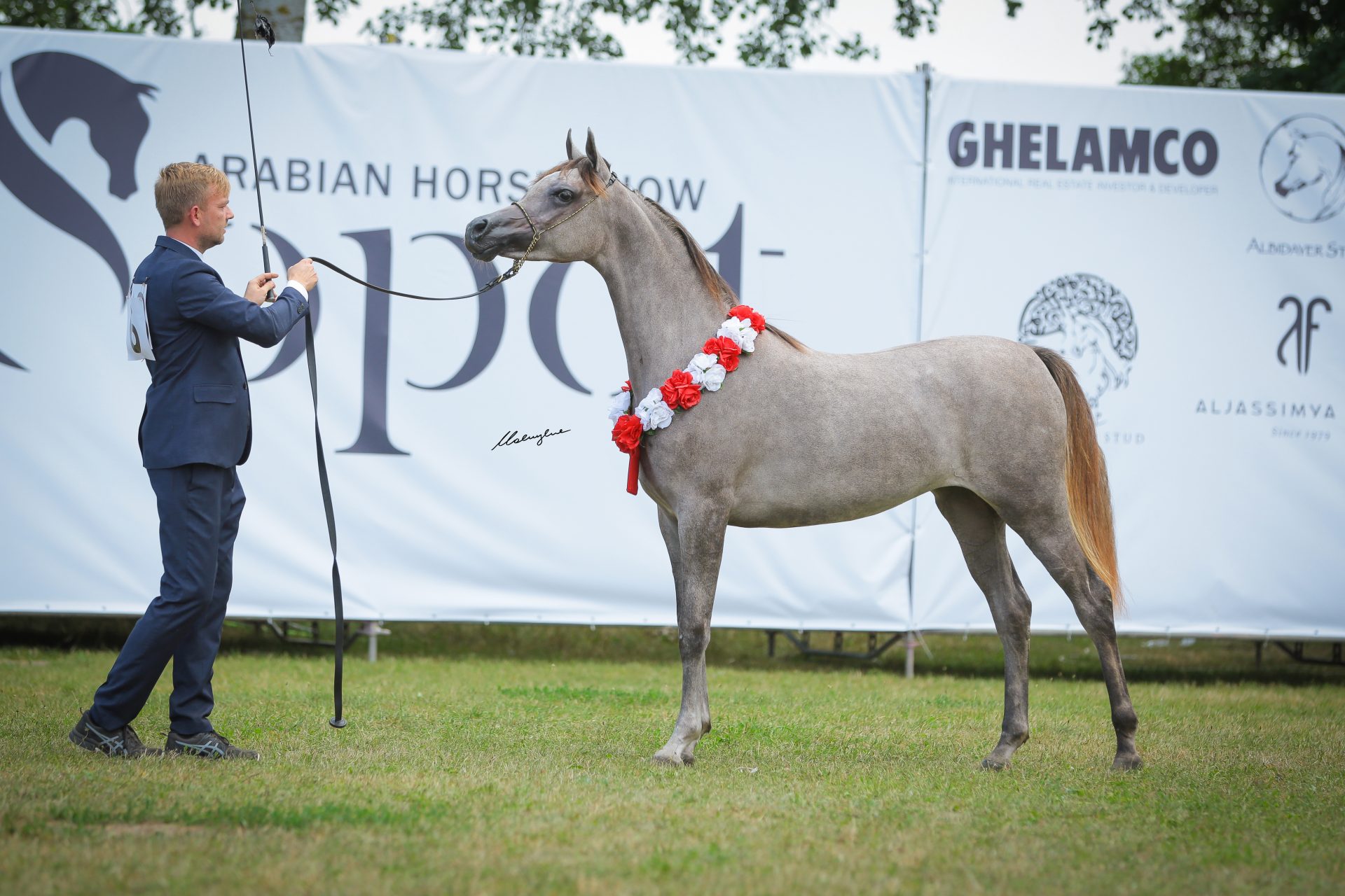 Sopot Arabian Horse Show - The Arabian Magazine