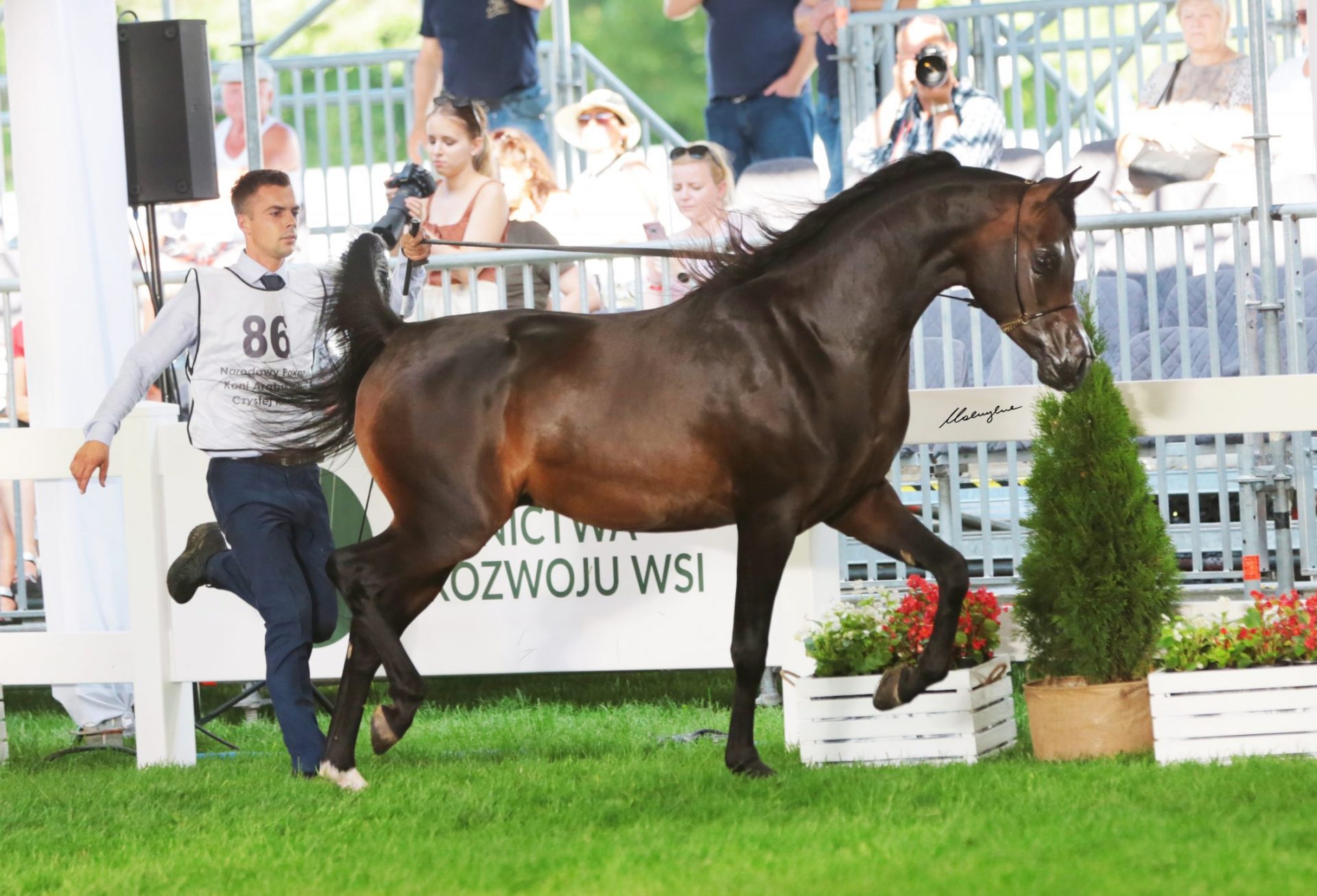 Polish National Championships 2021 - The Arabian Magazine