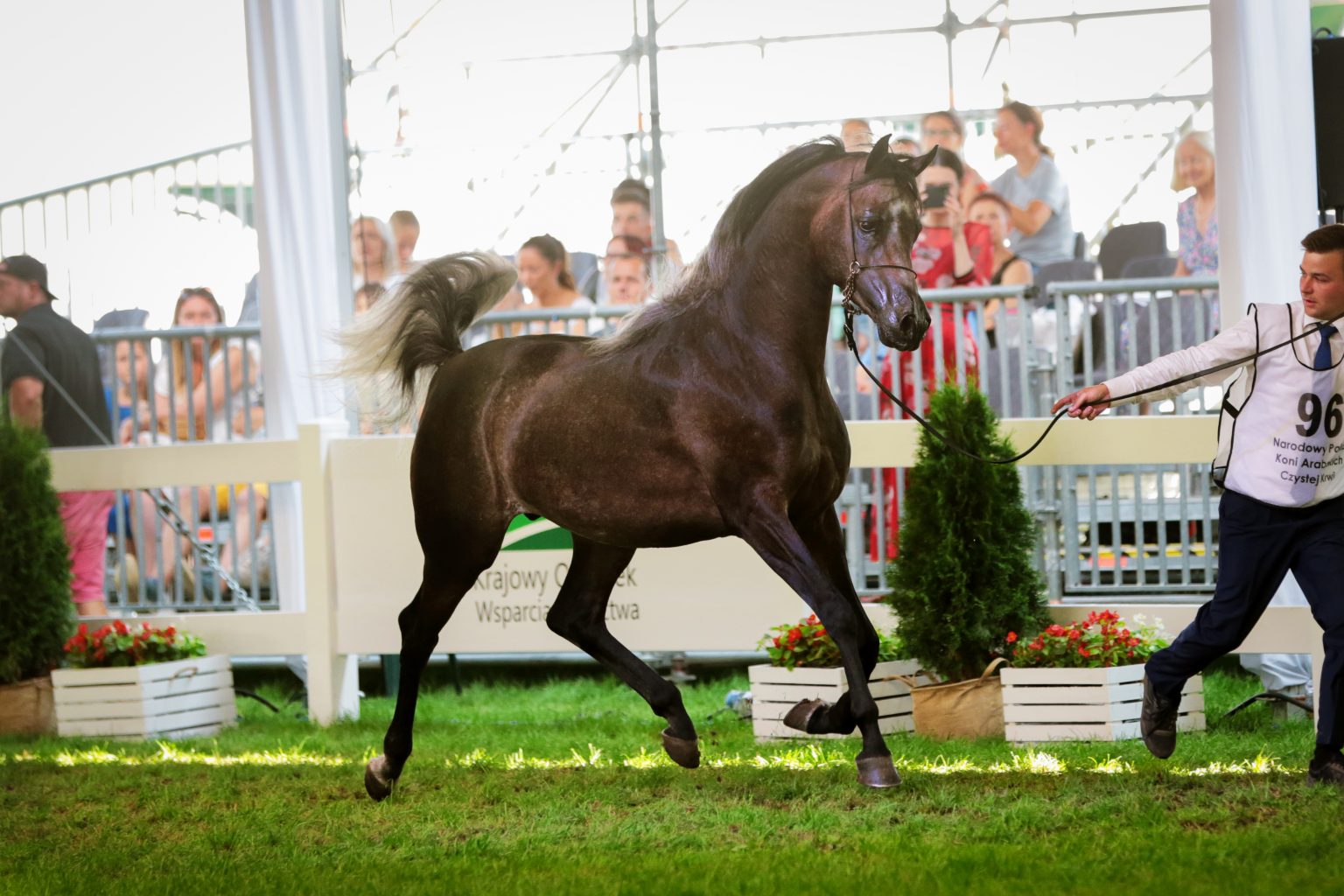 Polish National Championships 2021 - The Arabian Magazine