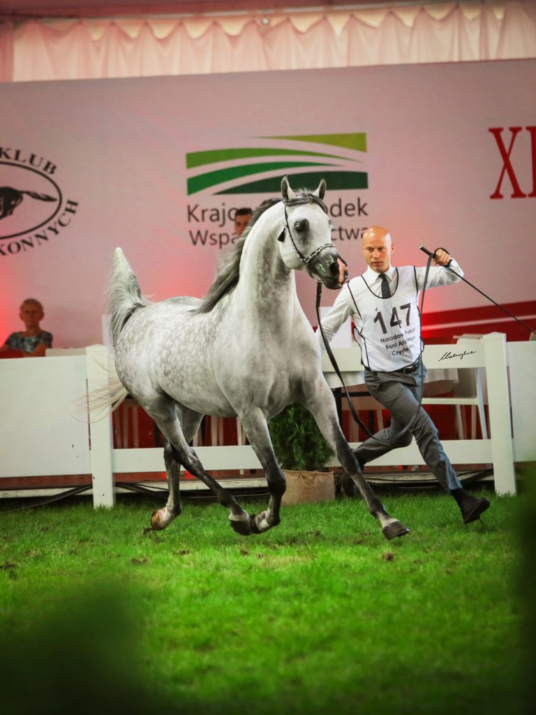 Polish National Championships 2021 - The Arabian Magazine