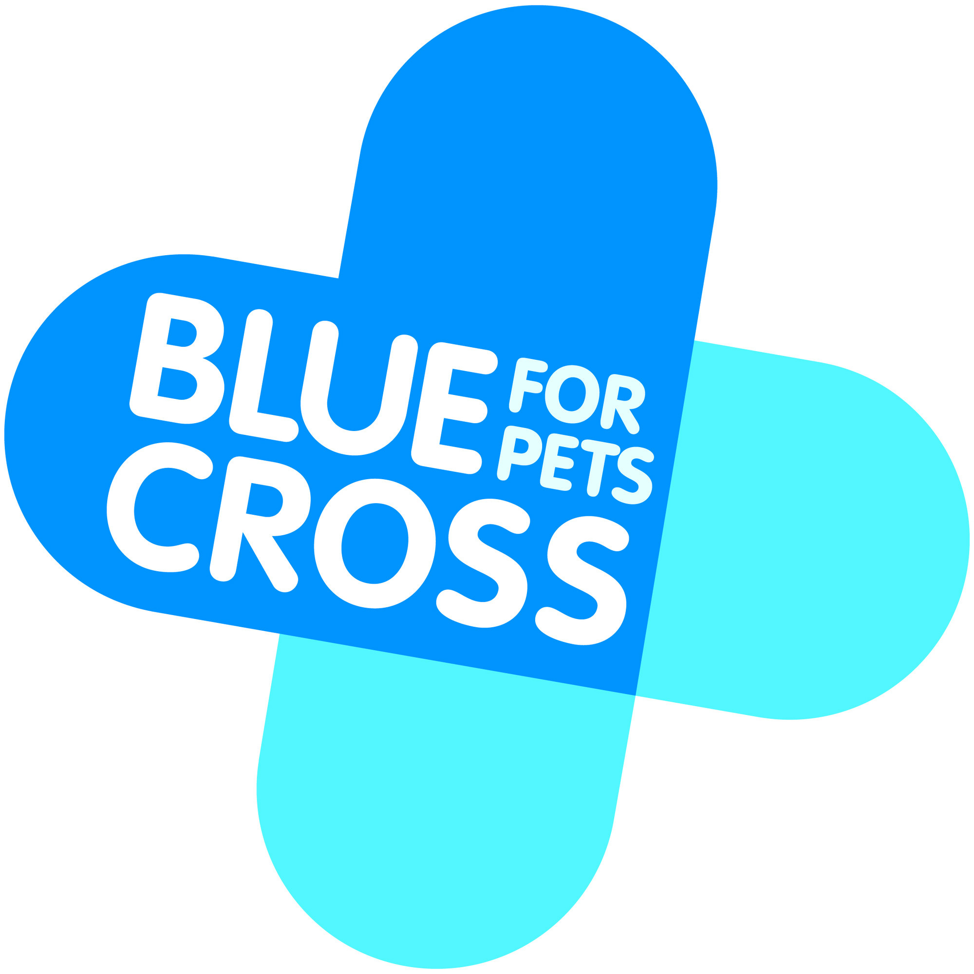 Blue Cross urges struggling horse owners to ask for help sooner rather ...