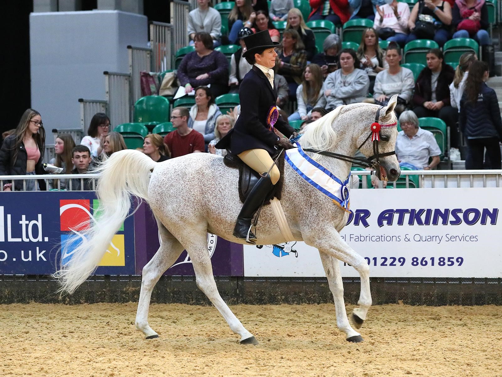 Horse of the Year Show 2021 - The Arabian Magazine
