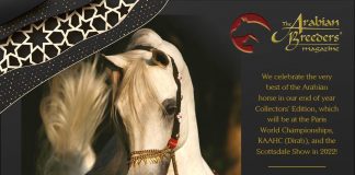 News Archives - The Arabian Magazine