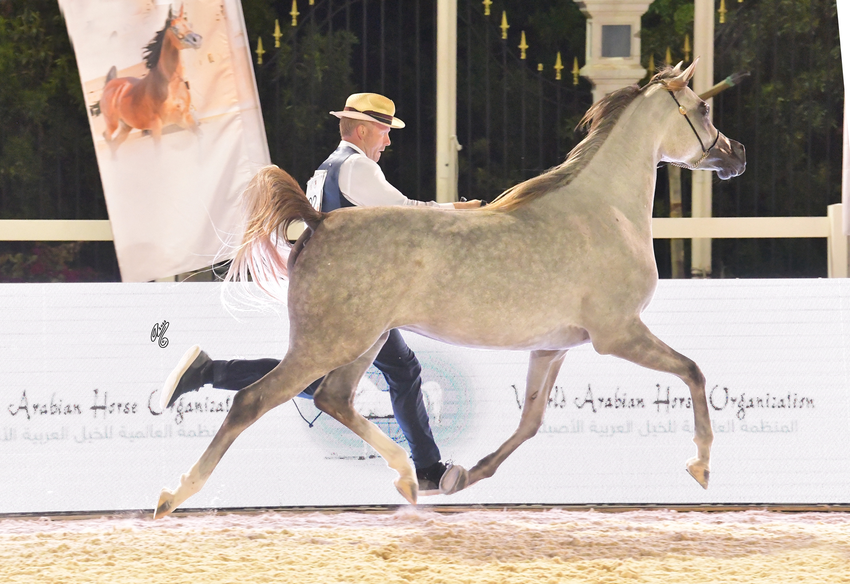 Abu Dhabi International AHC Day One - The Arabian Magazine
