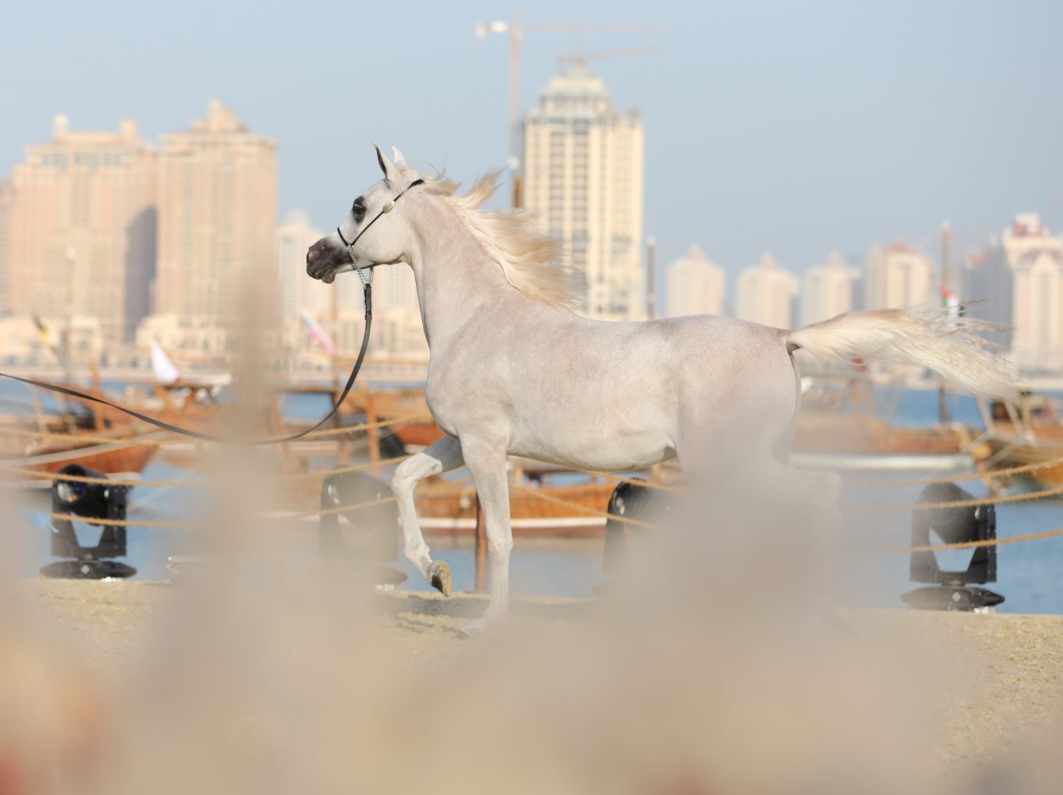 KIAHF a distinctive blend of past, present and the future: Bader Al ...