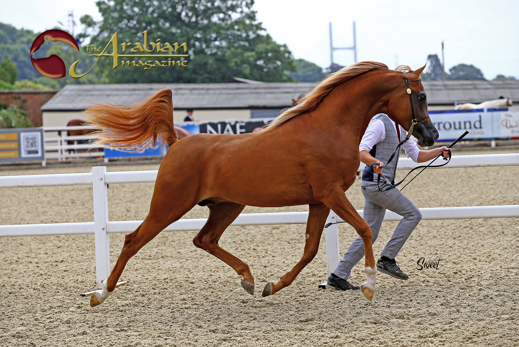 British National Championships 2022 - The Arabian Magazine