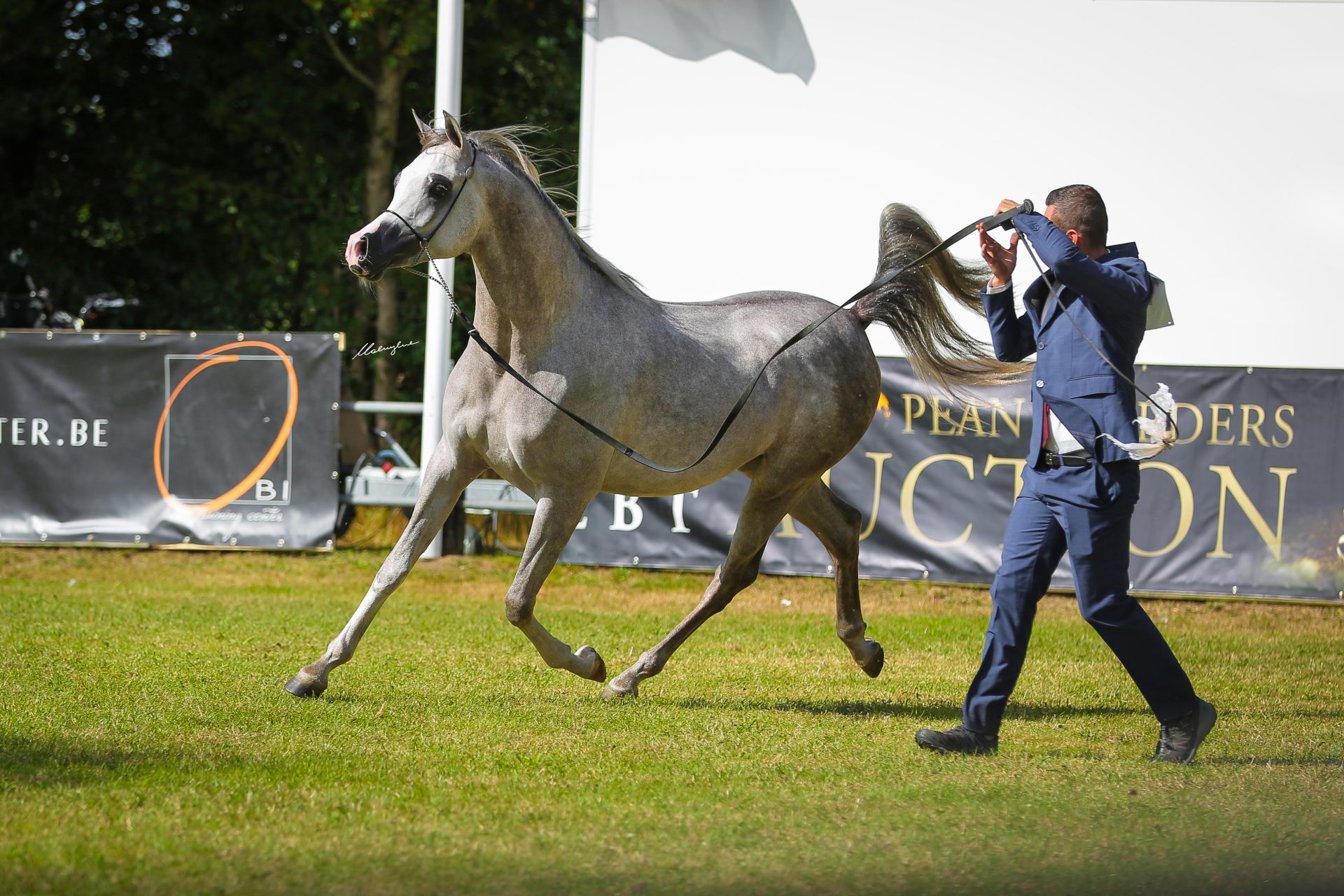 Ströhen International Show 2022 - The Arabian Magazine