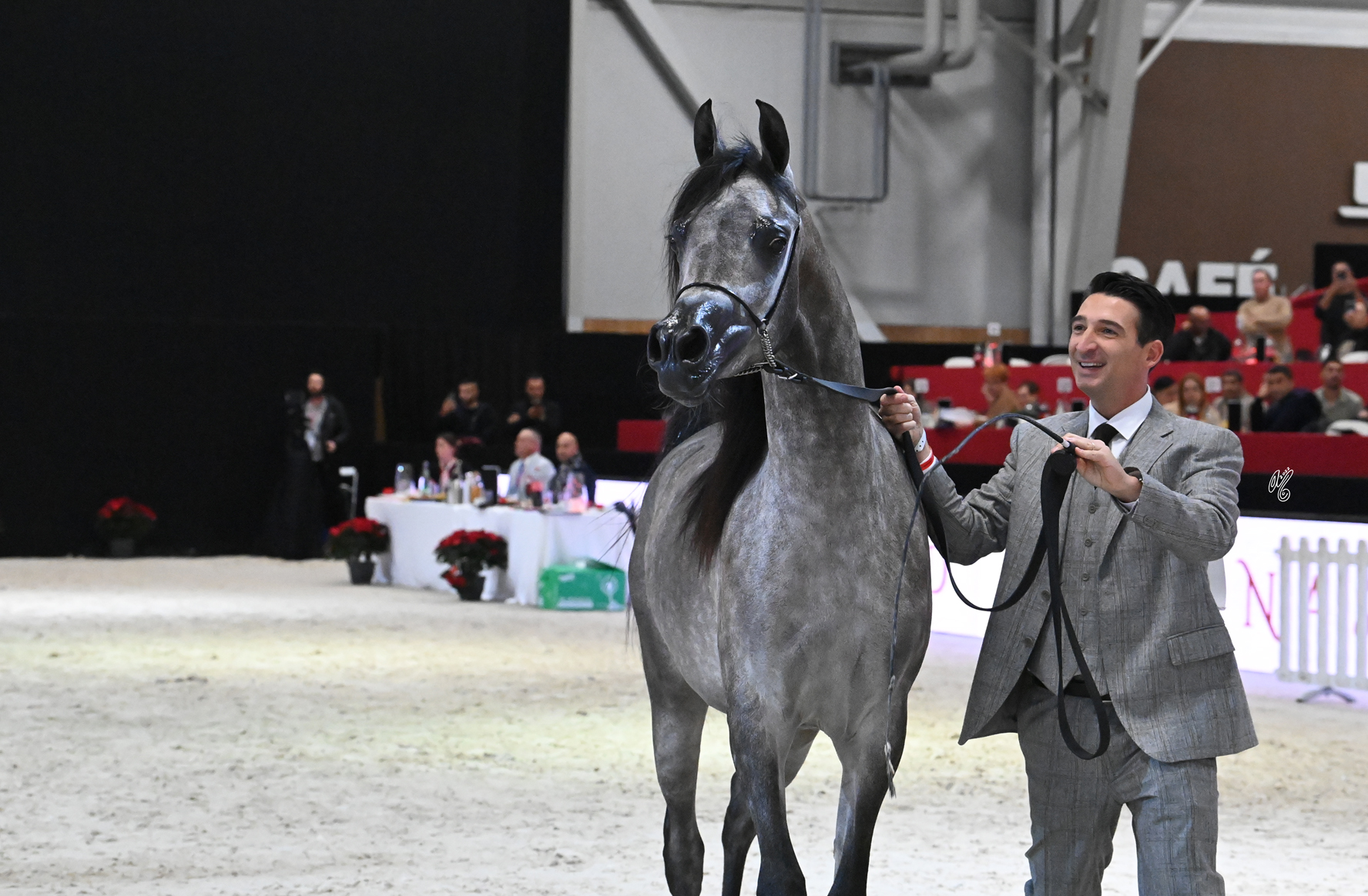 Yearling Filly World Champions – Paris 2022 - The Arabian Magazine