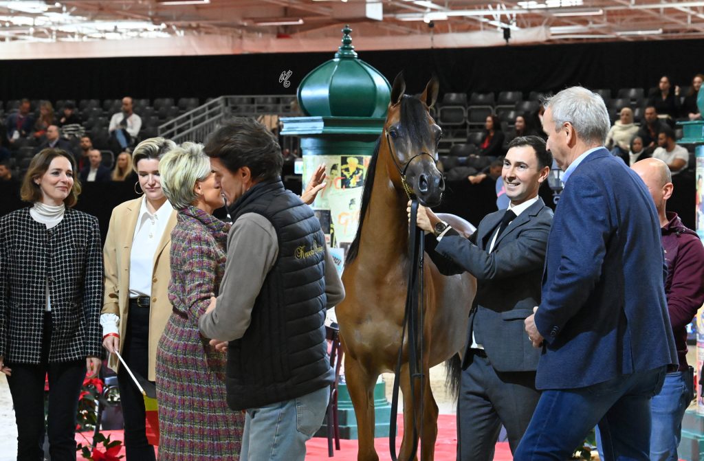 Yearling Filly World Champions – Paris 2022 - The Arabian Magazine