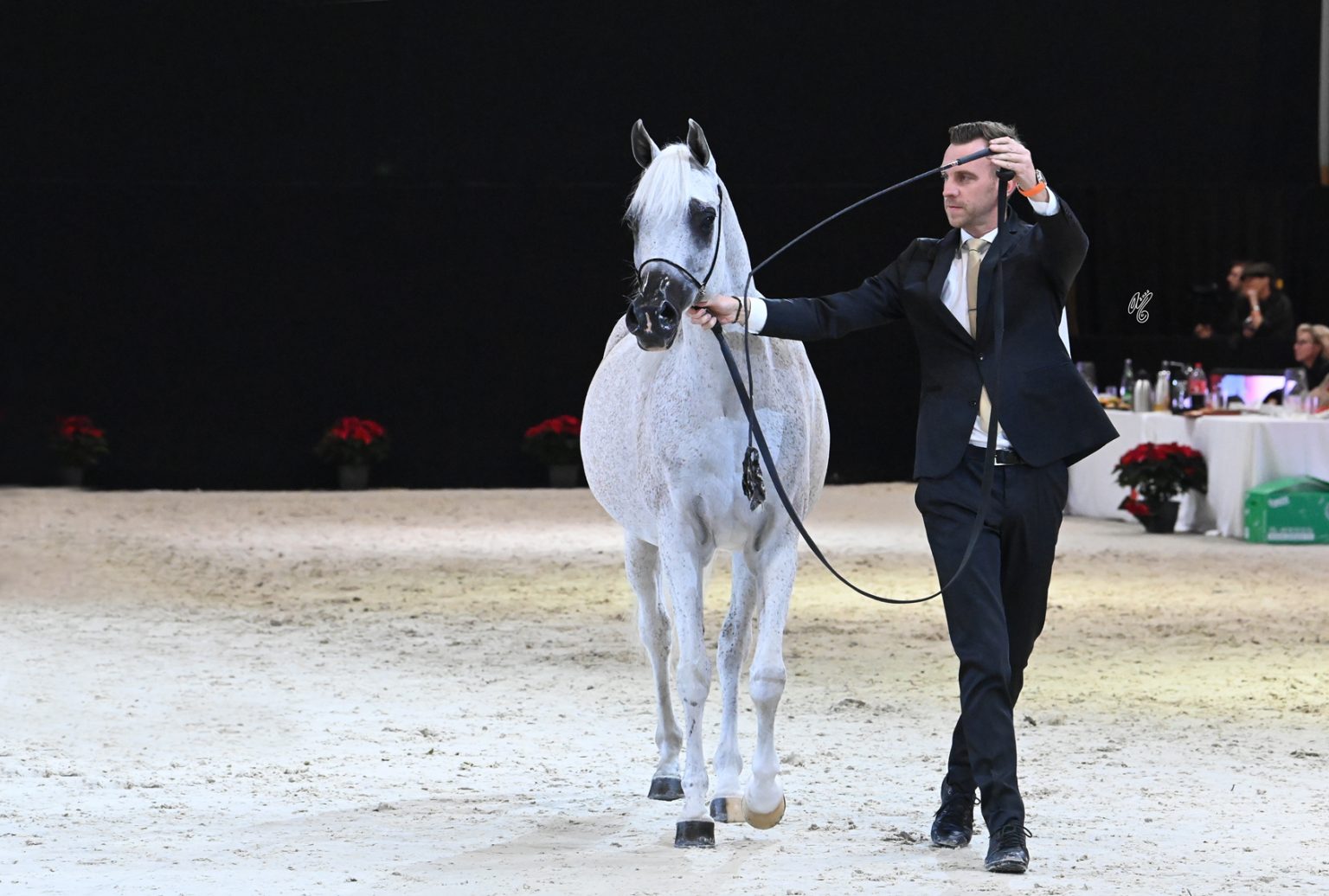 Senior Female World Champions - Paris 2022 - The Arabian Magazine