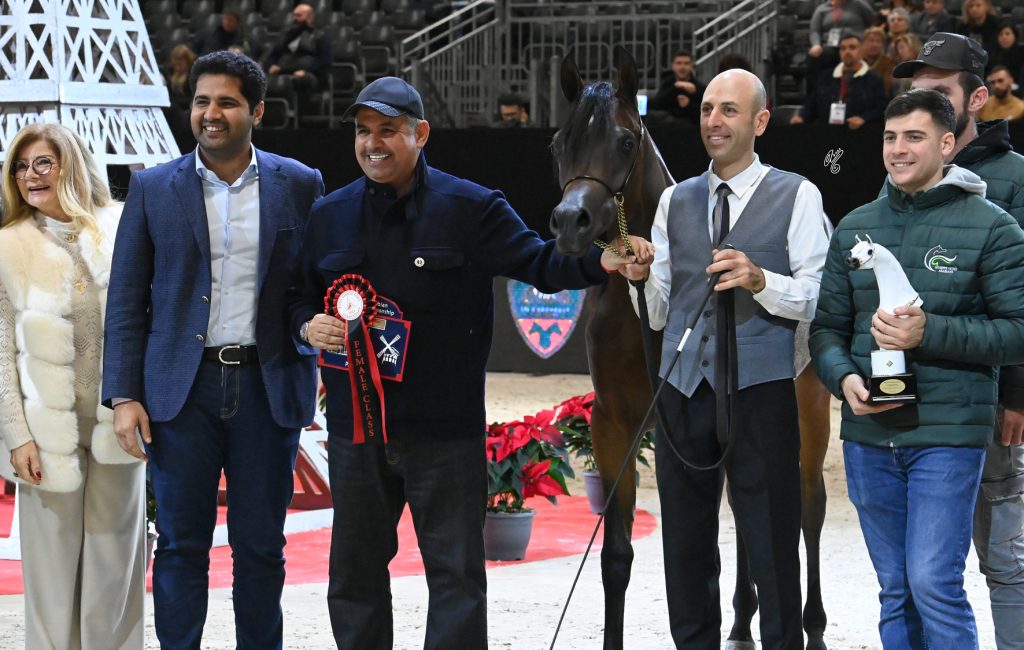 Yearling Filly World Champions – Paris 2022 - The Arabian Magazine
