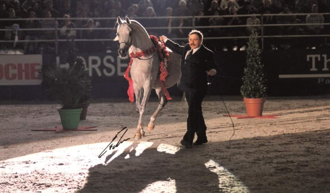 Arabian Excellence Elevated: The Magnificent Daughters of Monogramm Pt ...