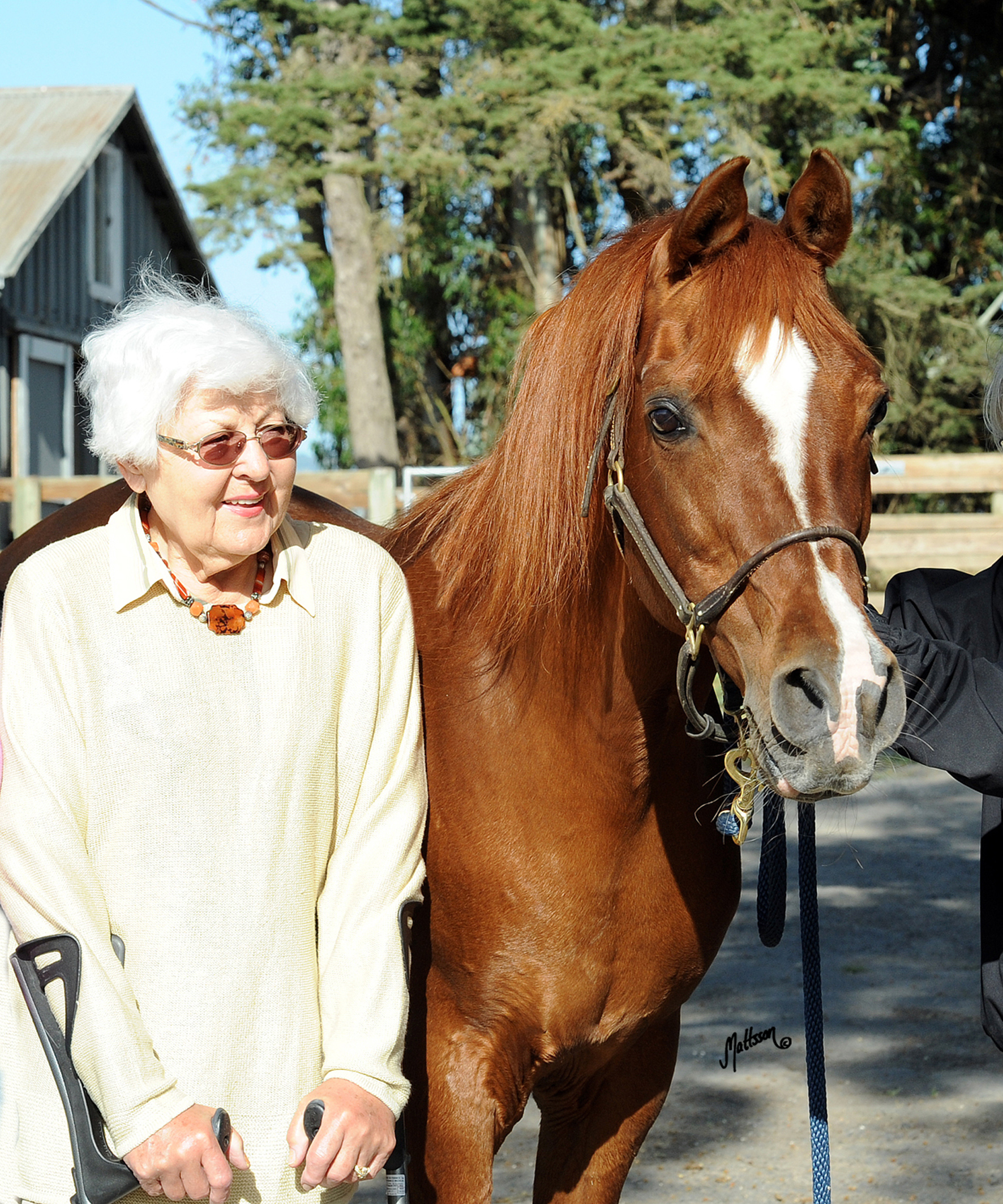 Arabian Excellence Elevated: The Magnificent Daughters of Monogramm Pt ...