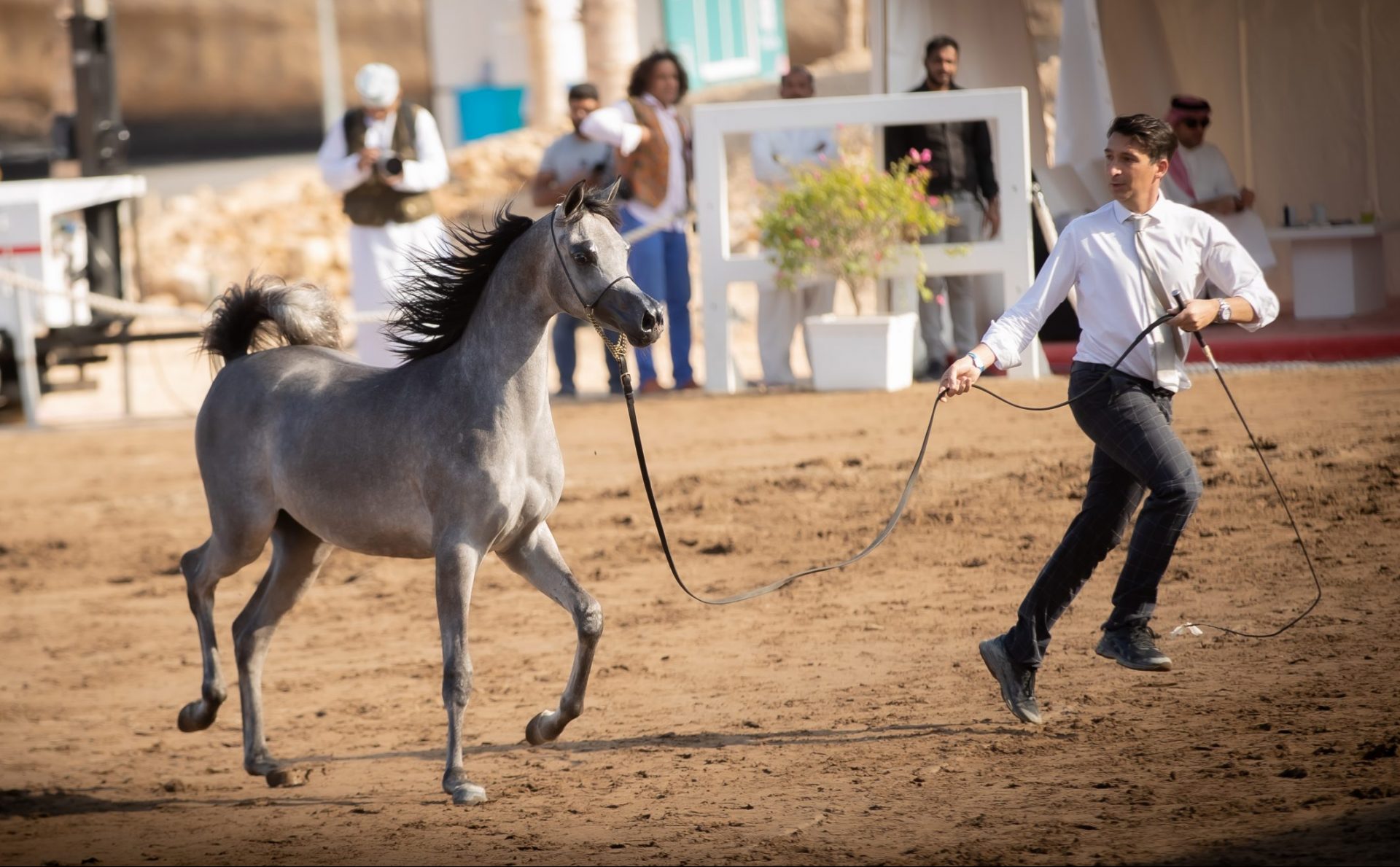 Alrubatiya International Arabian Horse Championships 2023 Pt I - The ...