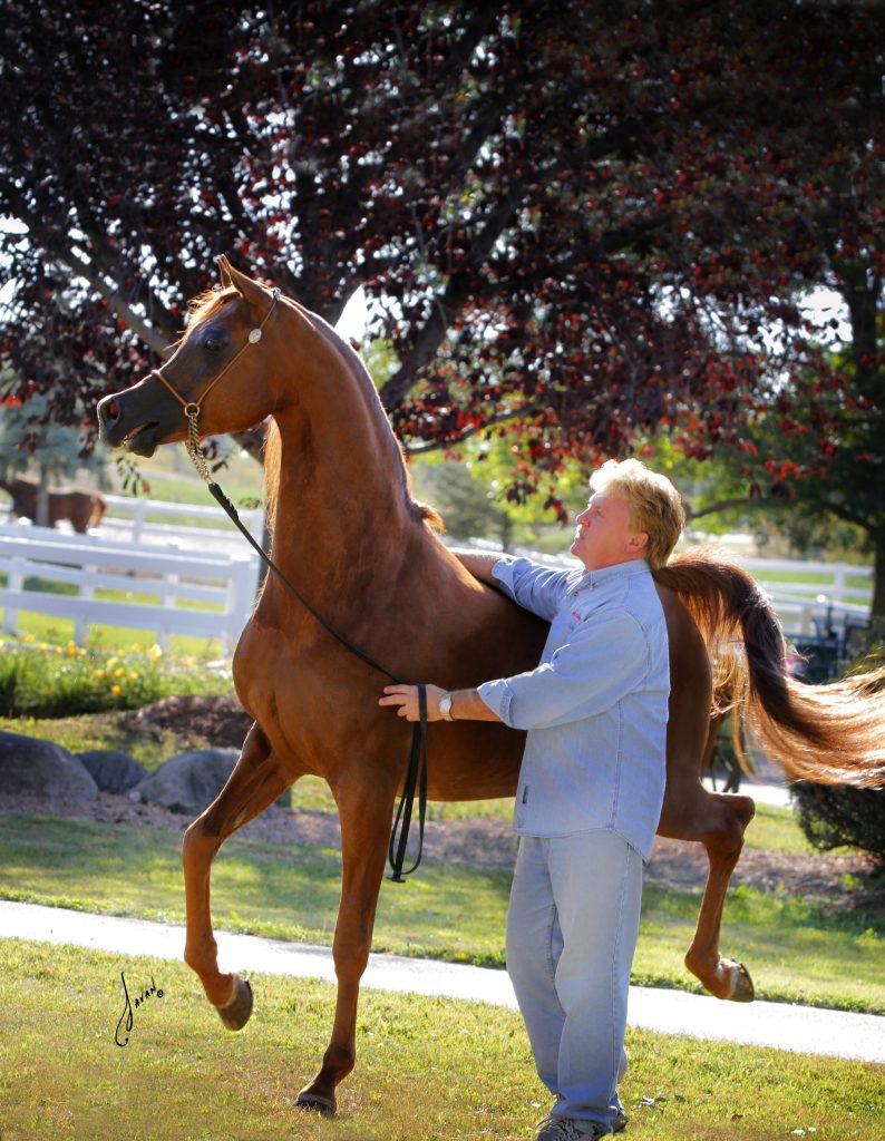 Magnum Psyche 1995–2023 - The Arabian Magazine