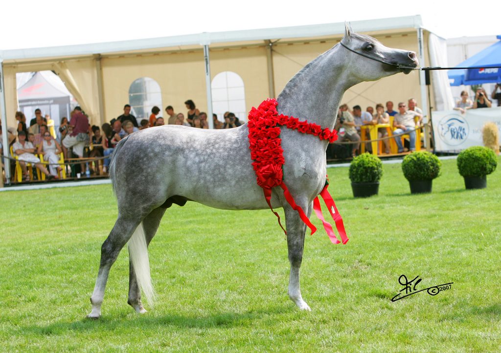 LAHEEB – The Flame Burns Bright Pt I - The Arabian Magazine