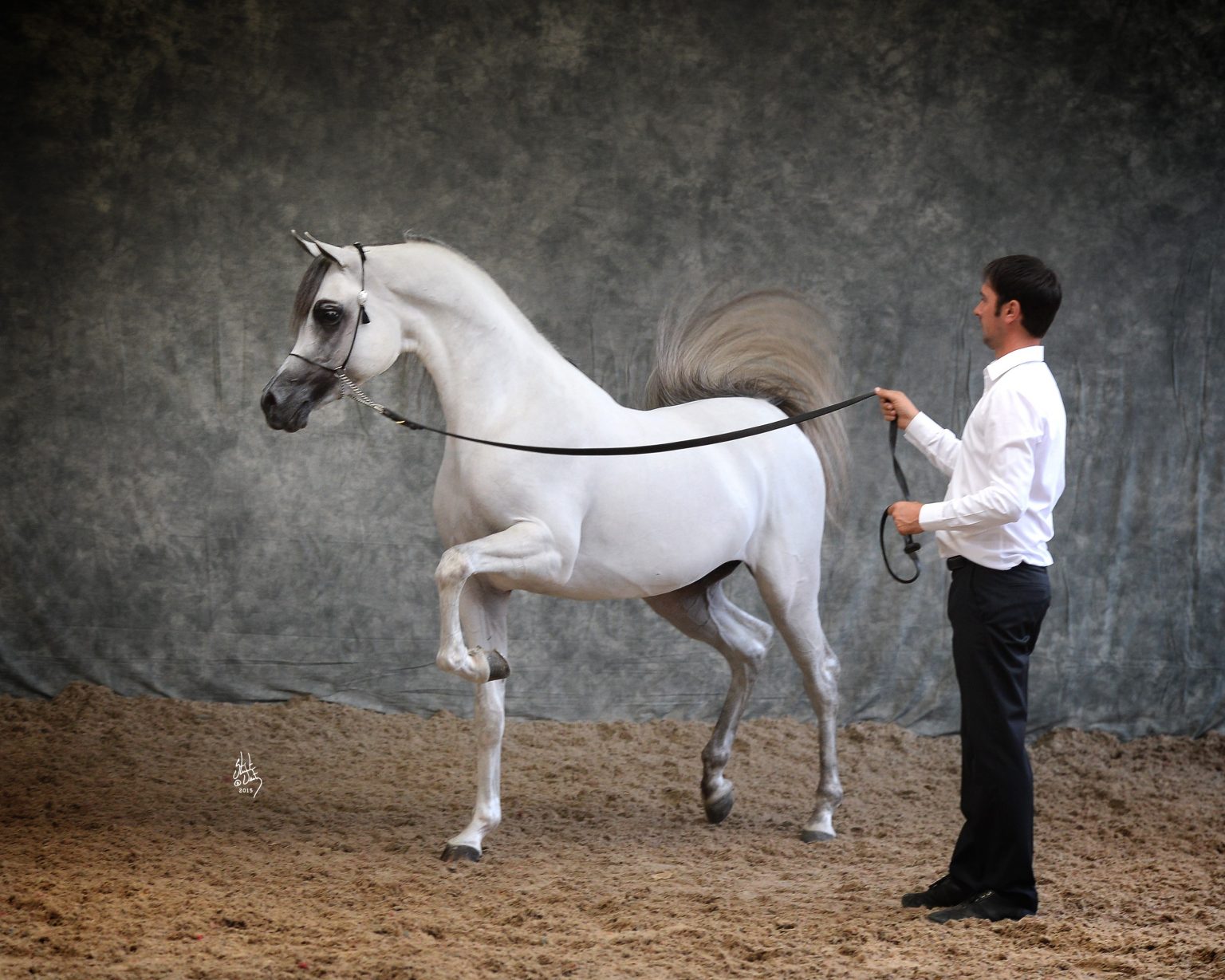 Arabian Excellence Elevated: The Enduring Influence of Monogramm Pt I ...