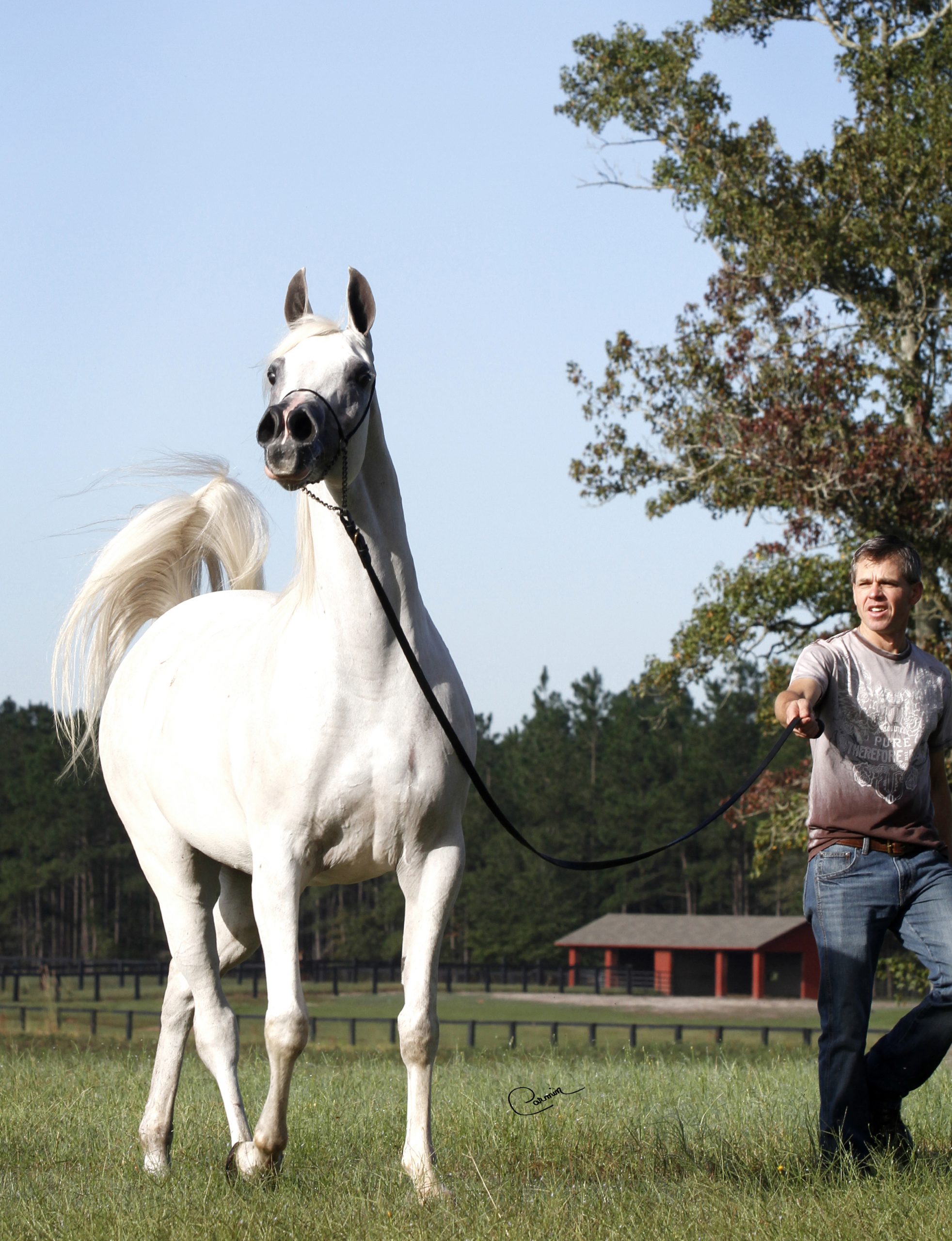 Arabian Excellence Elevated: The Enduring Influence of Monogramm Pt II ...