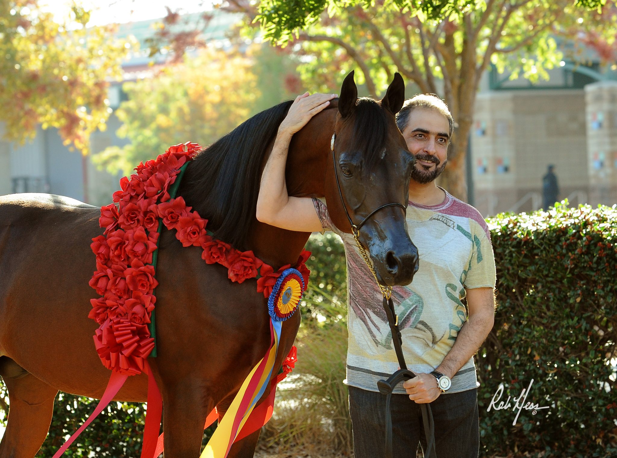 Marajj - The Arabian Magazine