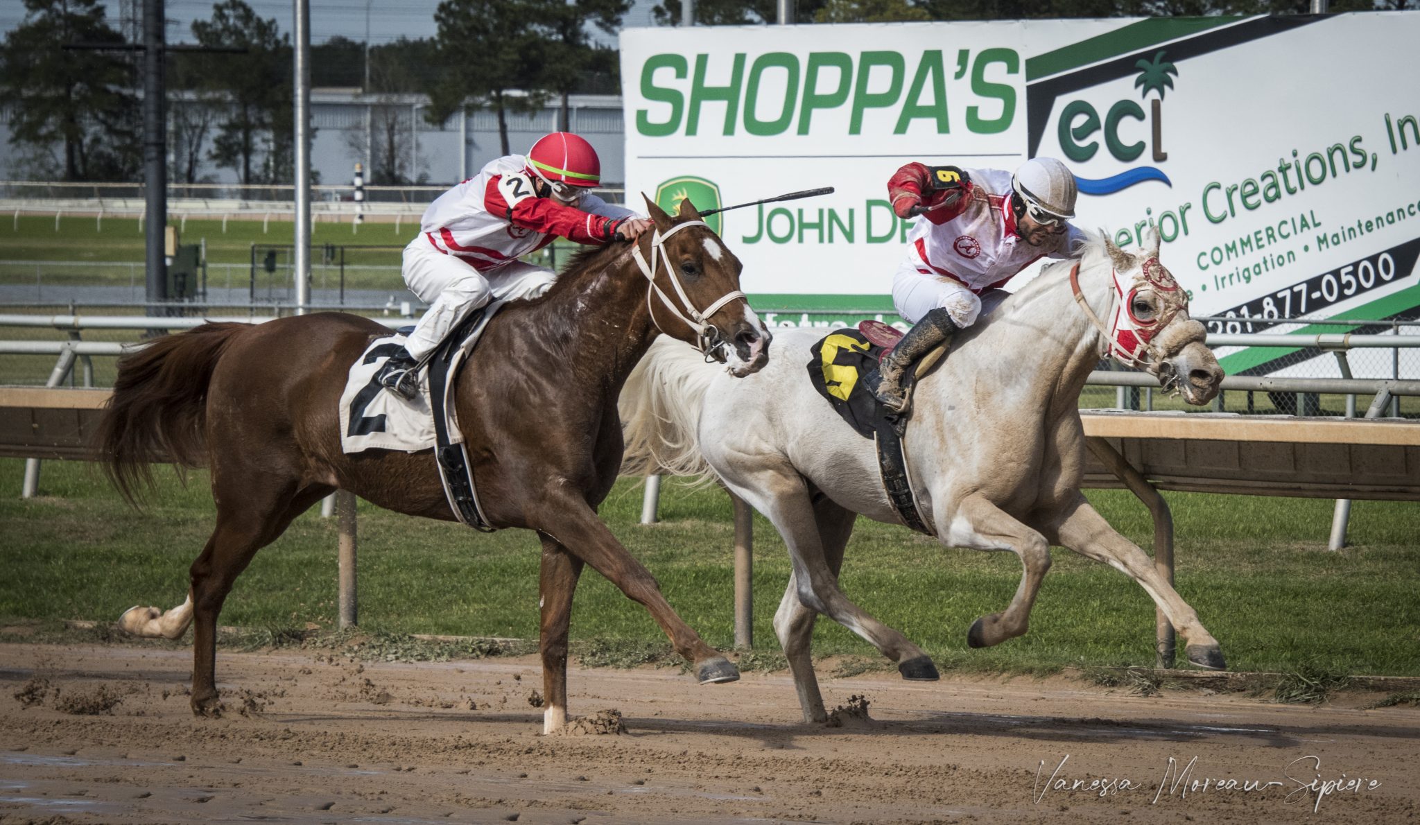 36th Annual Darley Awards recognises America’s Best for Arabian Racing ...