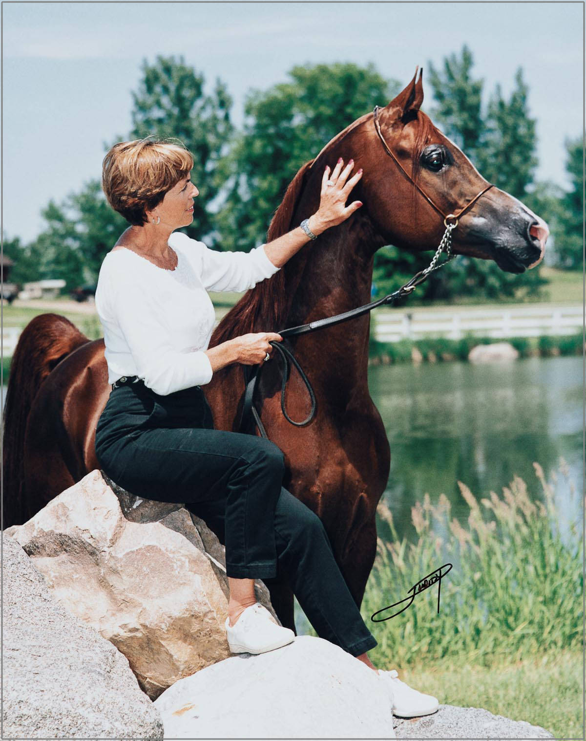 10 minutes with… Dixie North - The Arabian Magazine