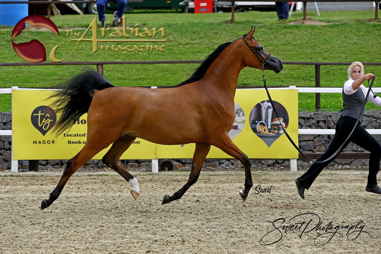 British National Championships ECAHO Champions - The Arabian Magazine
