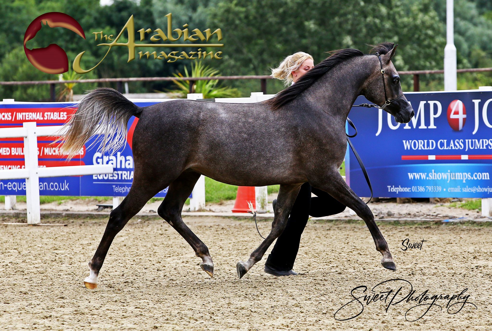 British National Championships ECAHO Champions - The Arabian Magazine