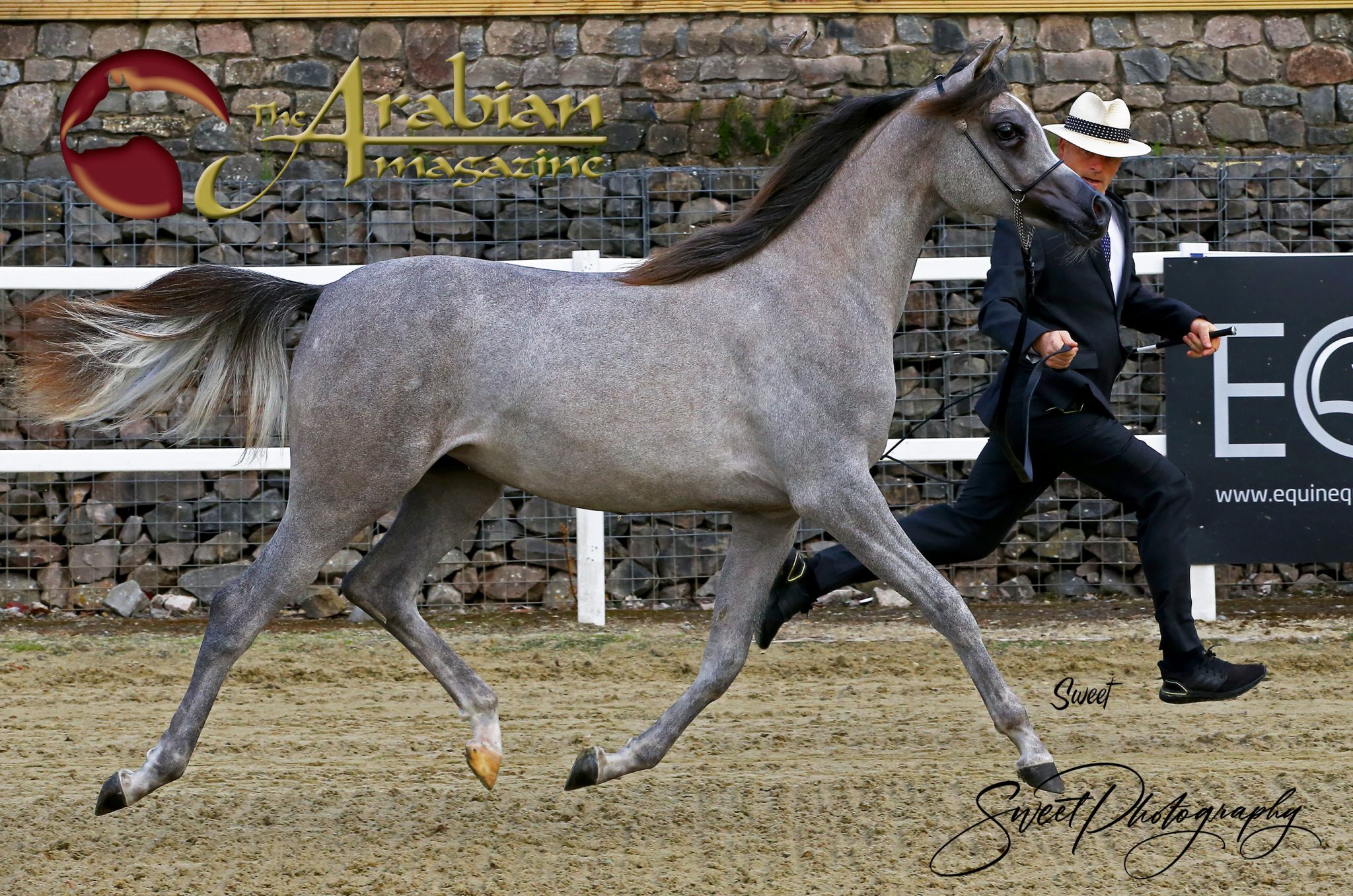 British National Championships ECAHO Champions - The Arabian Magazine