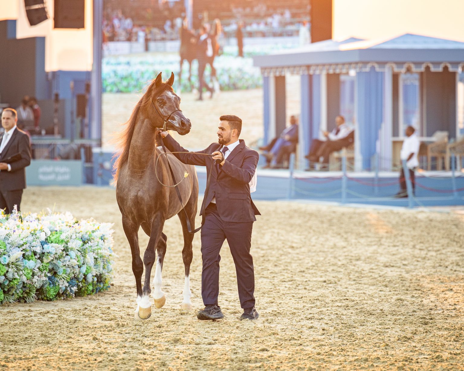 World Arabian Horse Championships 2023 Day Two - The Arabian Magazine