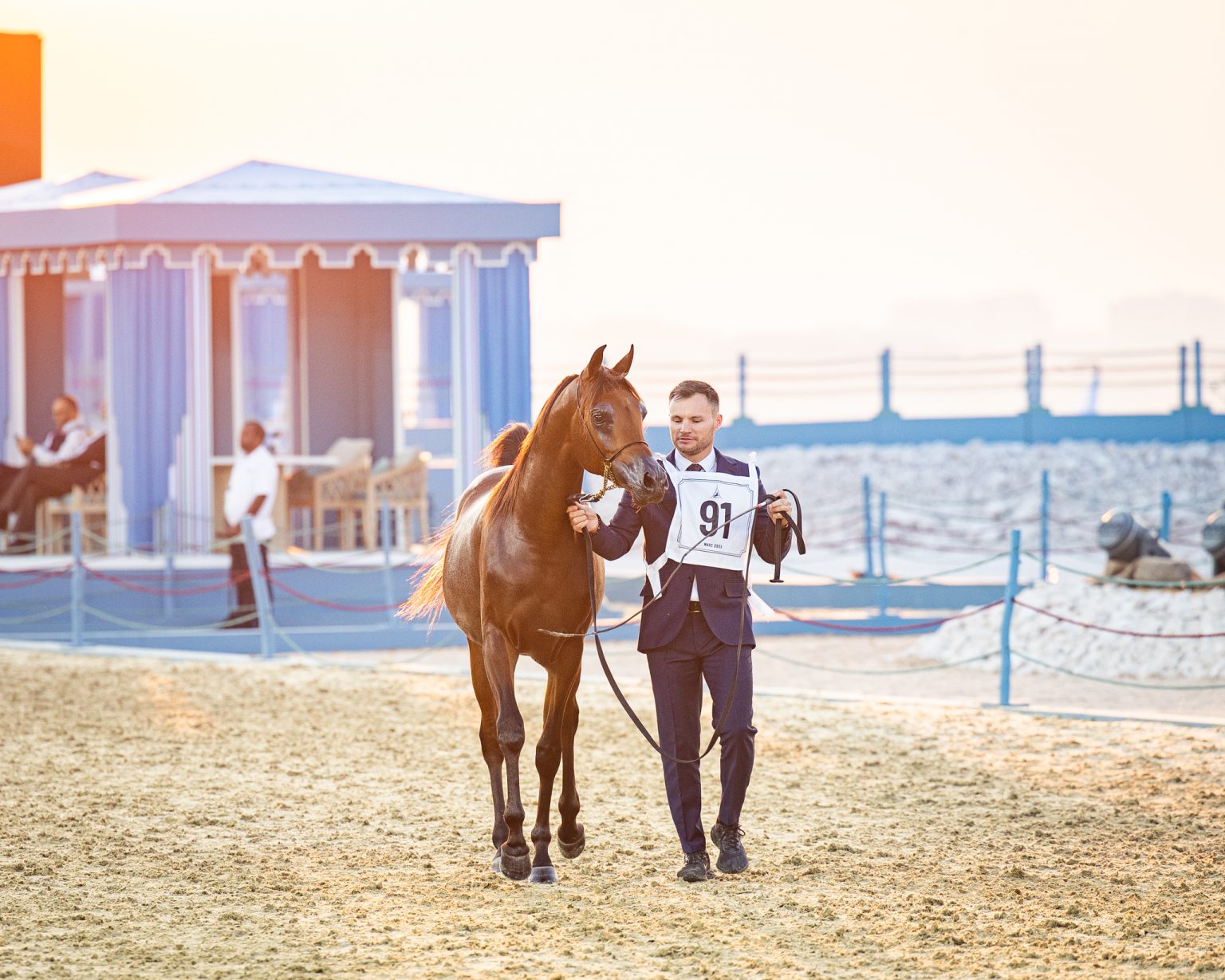 World Arabian Horse Championships 2023 Day Two - The Arabian Magazine