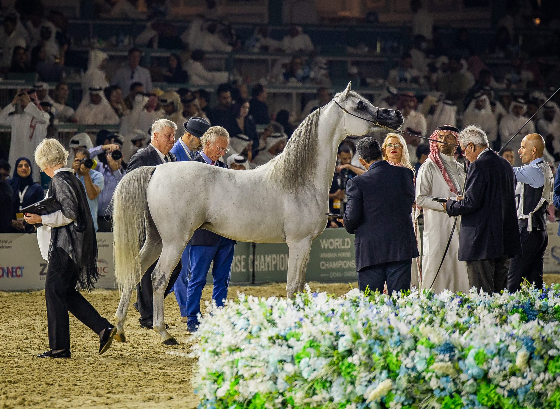 World Arabian Horse Championships 2023 Day Two - The Arabian Magazine