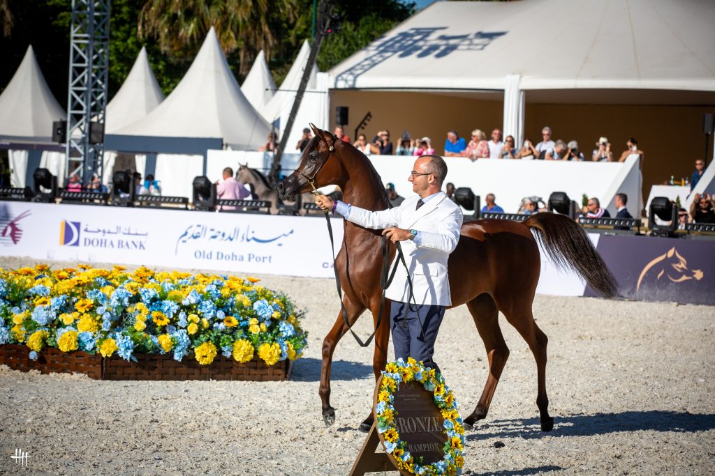 Prepare to be Enchanted – Durrat Albidayer - The Arabian Magazine