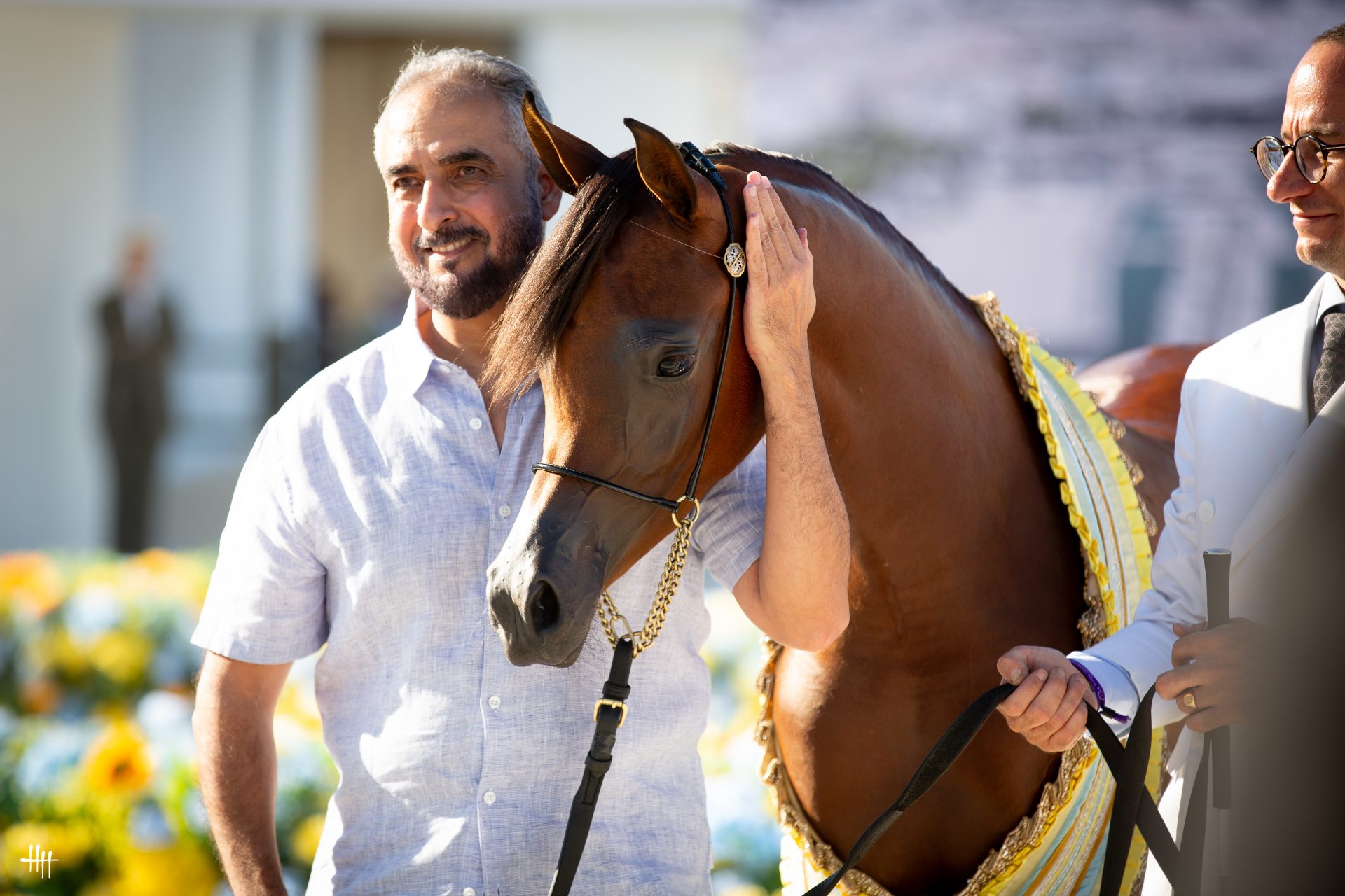 Prepare to be Enchanted – Durrat Albidayer - The Arabian Magazine