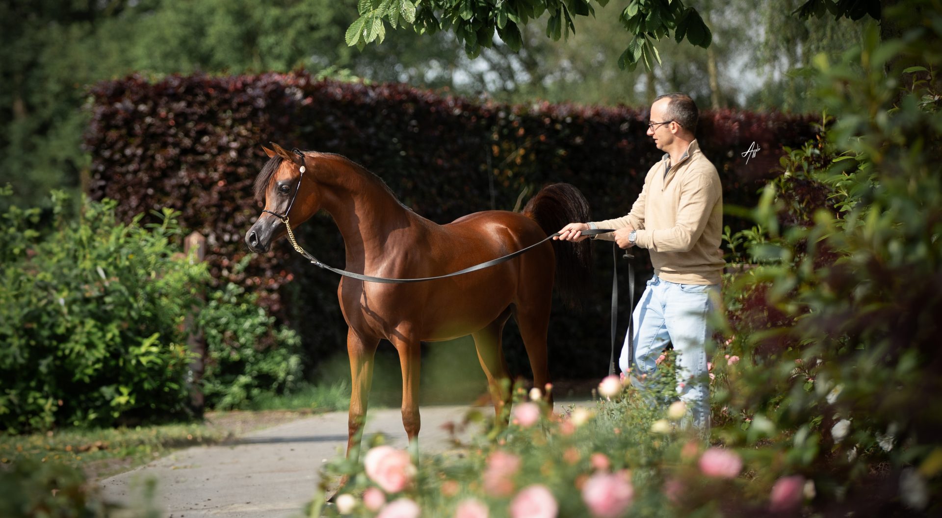 Prepare to be Enchanted – Durrat Albidayer - The Arabian Magazine