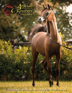Editorial - The Arabian Breeders' Magazine Vol III Special Edition ...