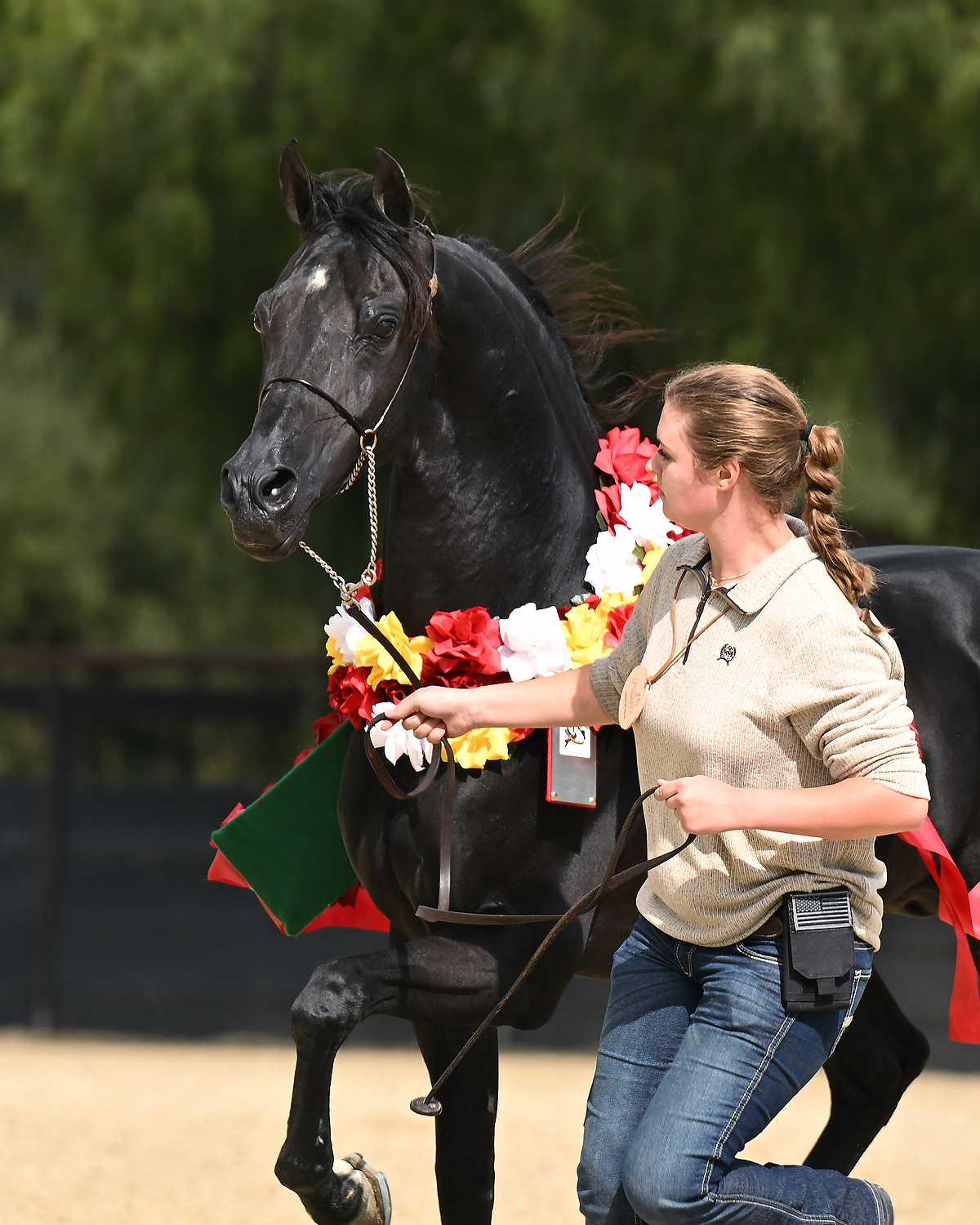 The Reunion Event: Celebrating 50 Years of Arabian Horse History in ...