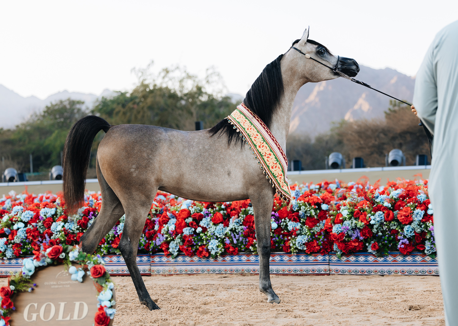 Berlin MP shines in Senior Male Championship at GCAT Muscat - The ...
