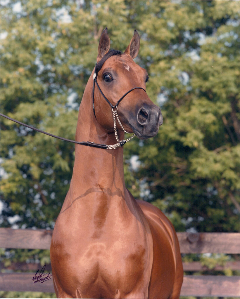 The Legendary Menes Pt I - The Arabian Magazine